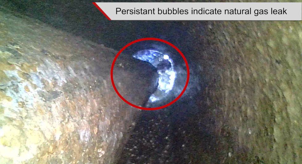 Local Expander Case Study - Renegade